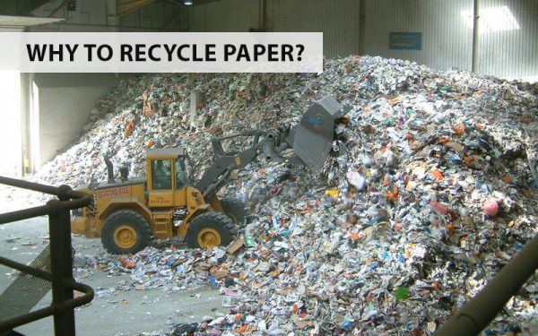 Why Recycle Paper? - Khawar Paper Mart